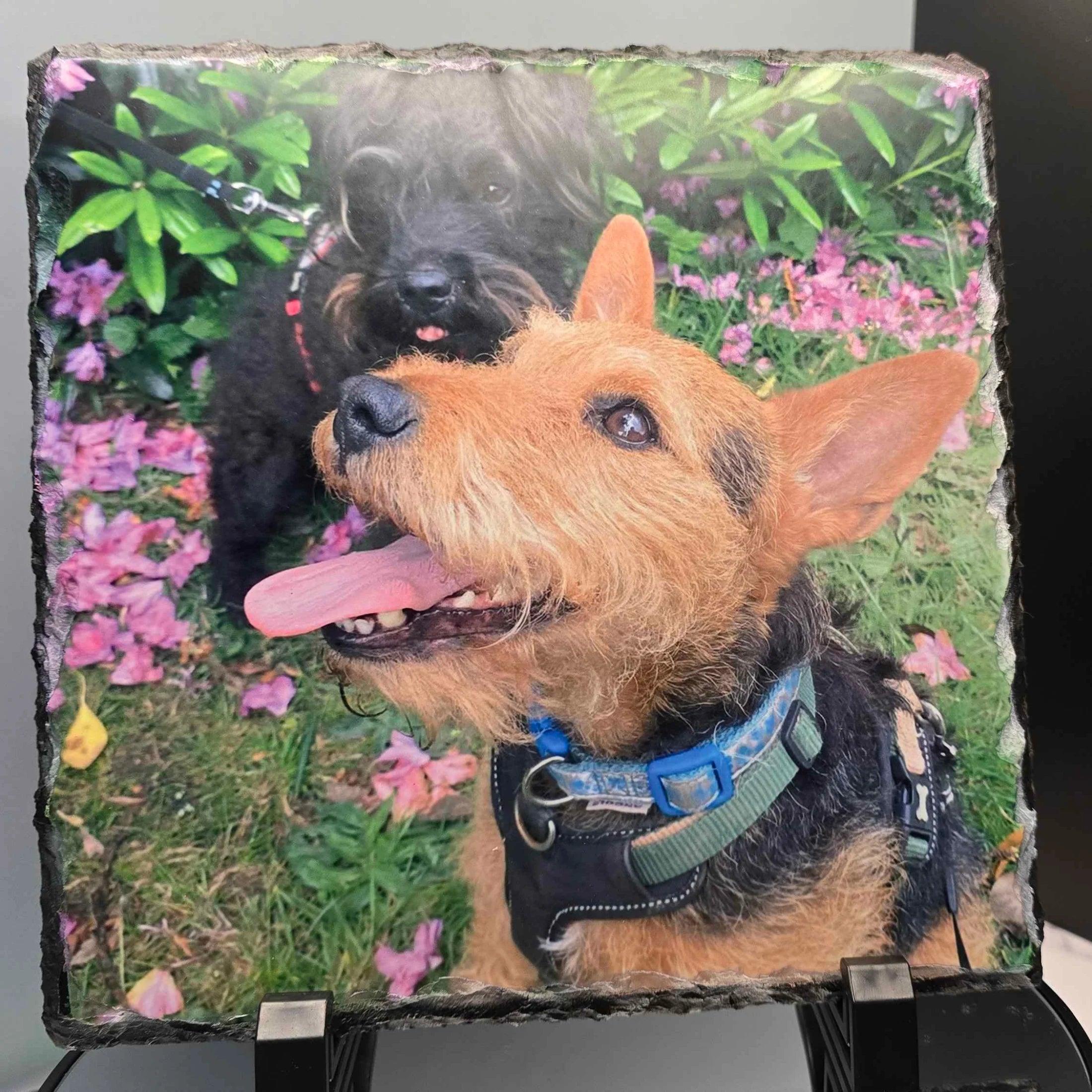 Personalised Photo Slates (19x19cm) – Engraving Purrfection